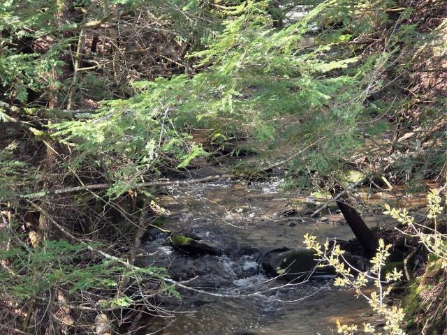 Highview Acres