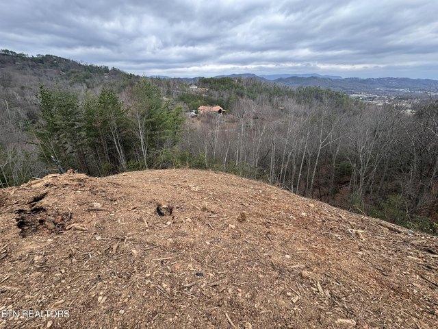 Hikers Path Ln, Sevierville, TN 37862