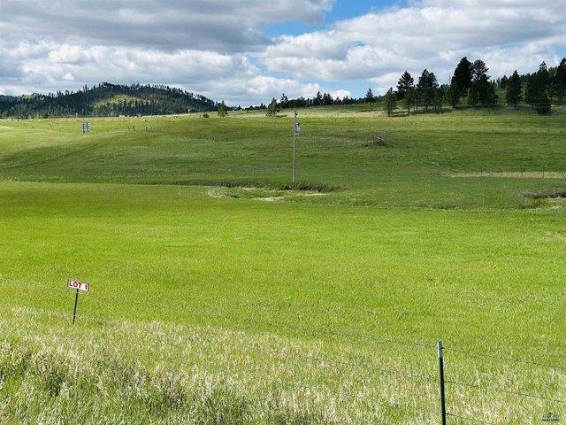 Hill City McVey Rd Lot 1, Hill City, SD 57745