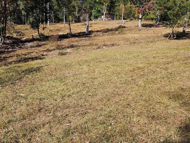 Hill Climb Rd, Stanley, VA 22851 | MLS #VAPA2006