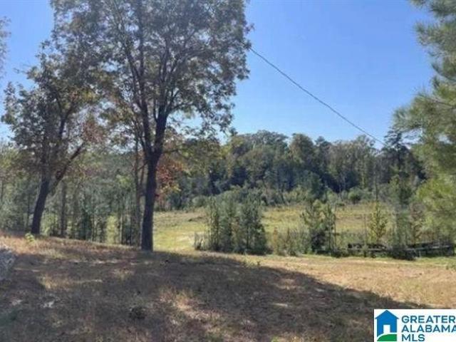 Hill Creek Dr Lot 0, West Blocton, AL 35184