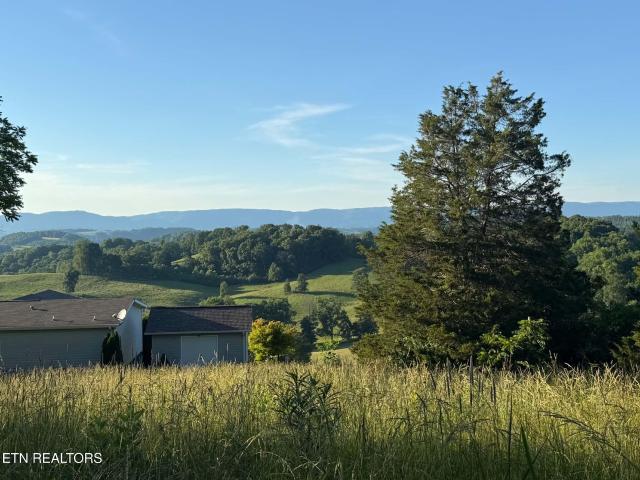 Hill Crest Drive, Tazewell, TN 37879
