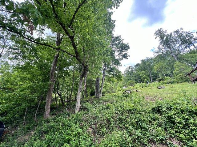 Hill, Gauley Bridge, WV 25085