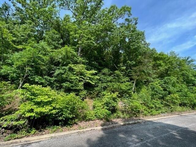 Hill Haven Rd Lot 29, Hollister, MO 65672
