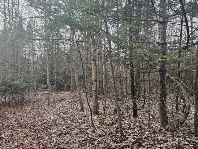Hill Lot Map R Rd Lot,dummer, Plot For Sale