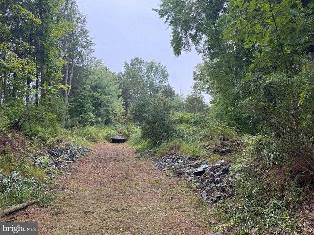 Hill Rd, Palm, PA 18070