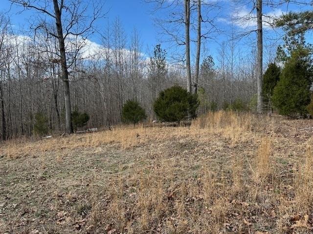Hill Top Rd, Big Sandy, TN 38221