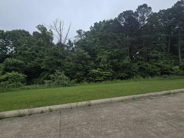 Hillcrest Ave Lot 1, Cabool, MO 65689