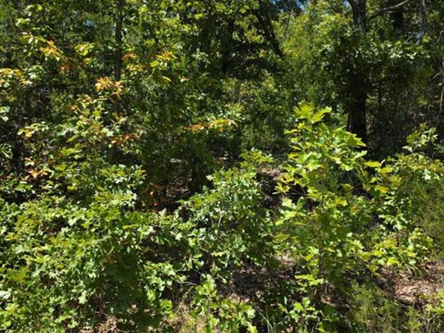 Hillcrest Dr, Bull Shoals, AR 72619