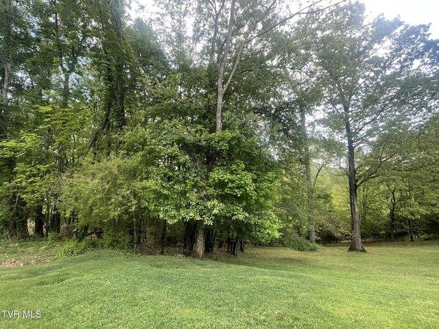 Hillcrest Dr, Gate City, VA 24251