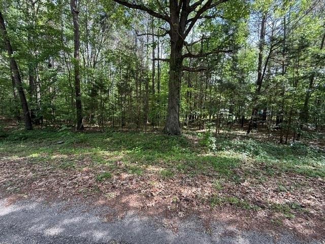 Hillcrest Ln, Big Sandy, TN 38221