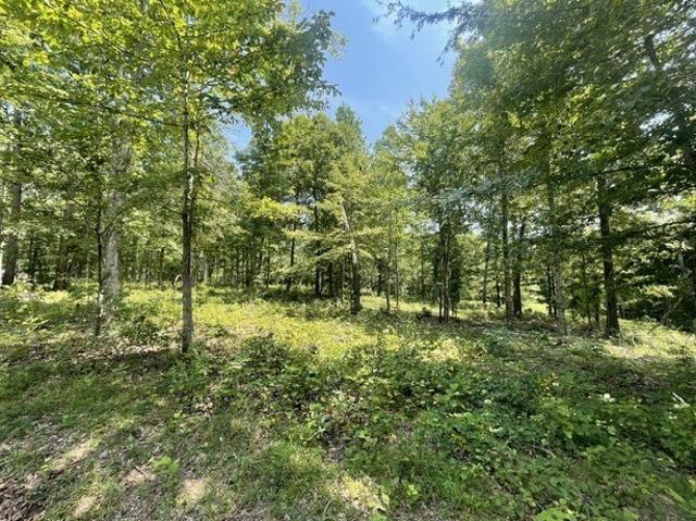 Hillcrest Rd, Waverly, TN 37185