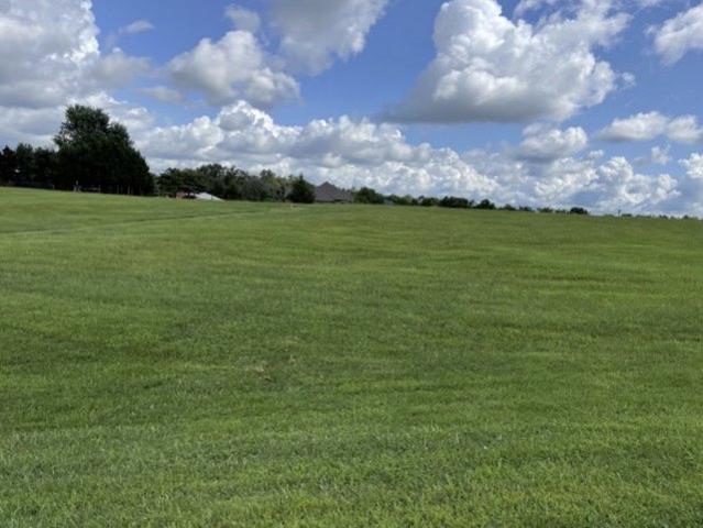 Hills Dr, Hillsboro, TN 37342