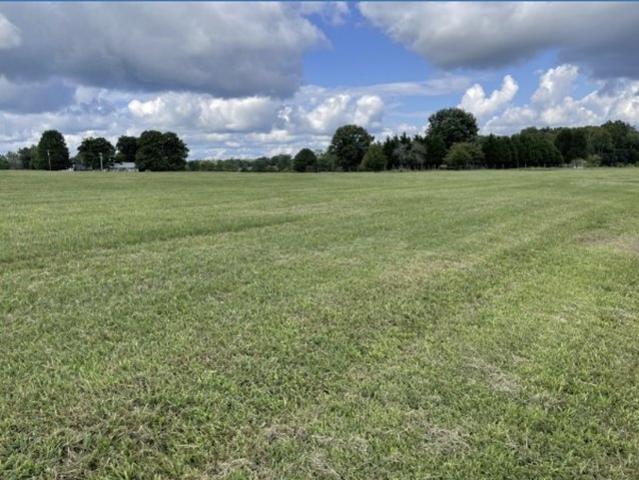 Hills Dr, Hillsboro, TN 37342
