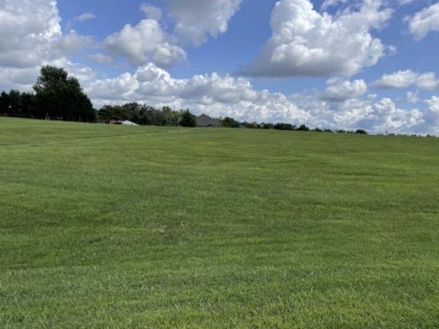 Hills Dr, Hillsboro, TN 37342