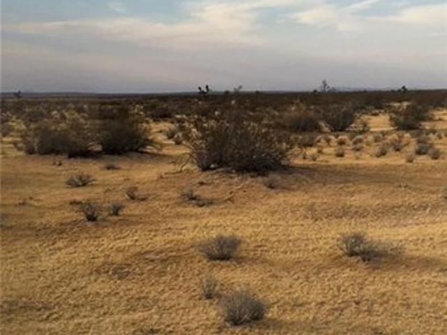 Hills Rd, Adelanto, CA 92301