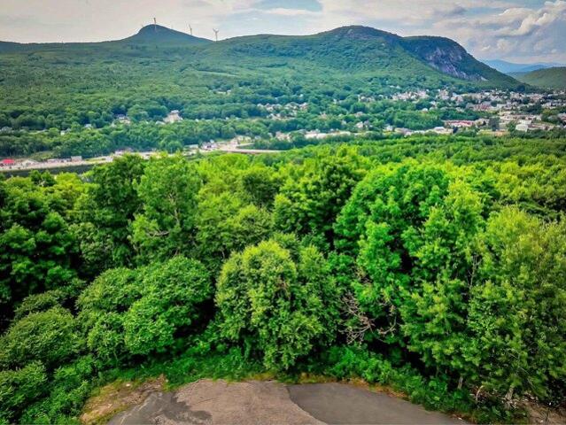 Hillsboro St Lot,berlin, Plot For Sale
