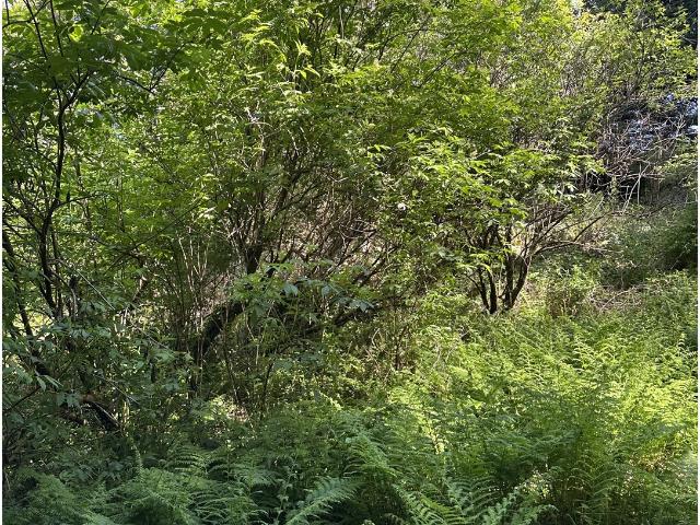 Hillside acres rd