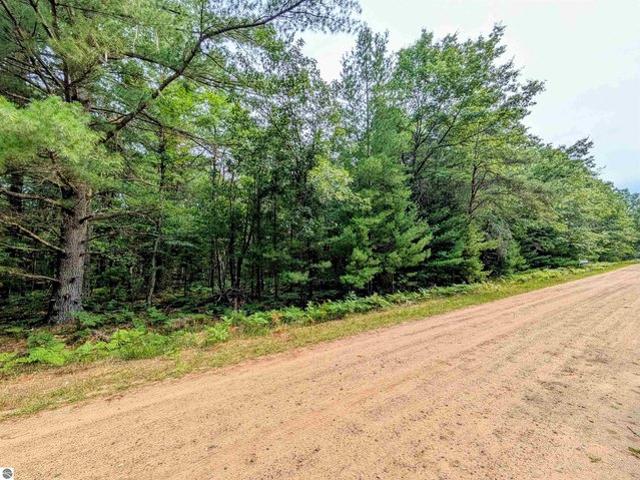 Hillside Dr, Alger, MI 48610