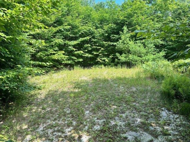 Hillside Dr Lot,kingfield, Plot For Sale