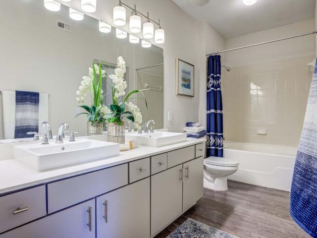 Hilltop at Shavano 1 Bedroom Apartment for Rent at 17239 Shavano Rnch, San Antonio, TX 78257