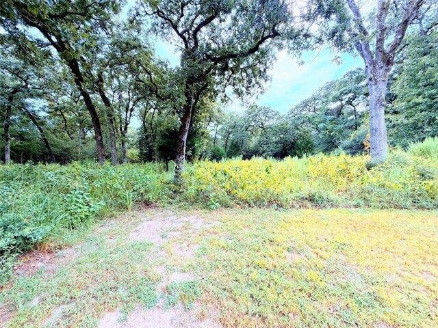 Hilltop Lakes TX 77871 LS94205319