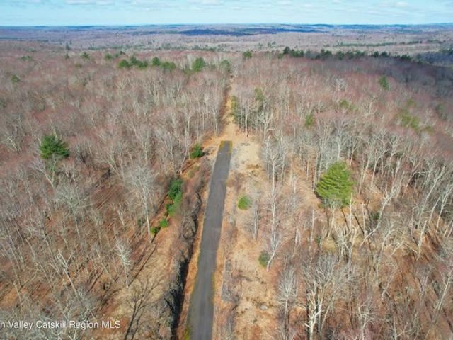 Hilltop Rd, Monticello, NY 12701