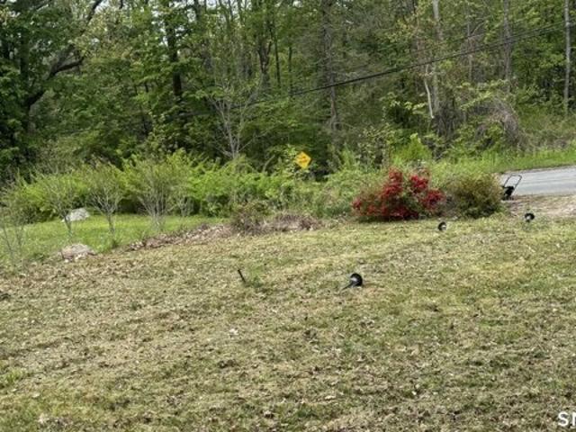 Hilltop Rd, New Hartford, Plot For Sale