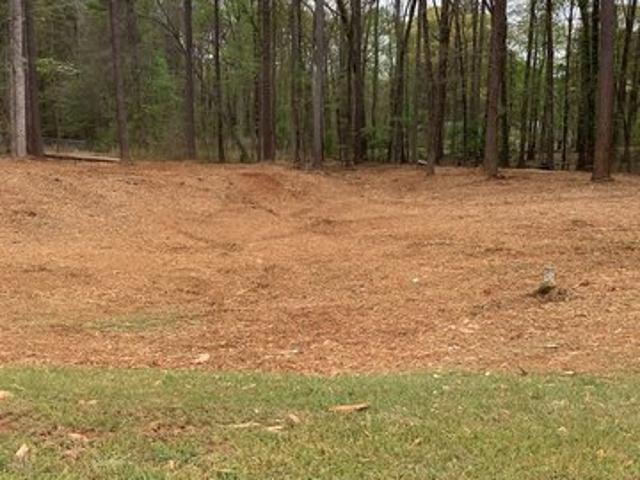 Hilo Rd, Fayetteville, GA 30215