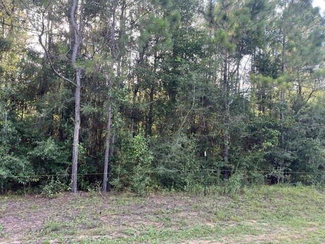 Hirsch St, Milton, FL 32583