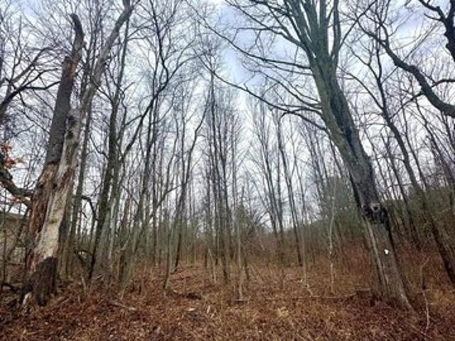 Hitchcock Rd, Jefferson Township, PA 18436