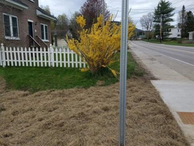 Home Acre St Lot,morristown, Plot For Sale
