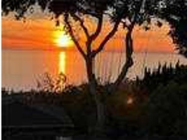 Home For Rent In Laguna Beach, California