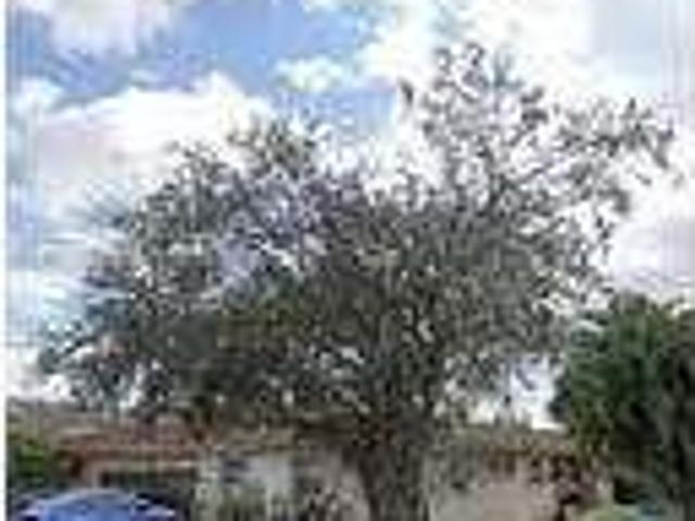 Home For Rent In Sweetwater, Florida