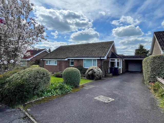 Homefield, Child Okeford DT11, 3 bed bungalow to rent, £1,500 pcm | PrimeLocation