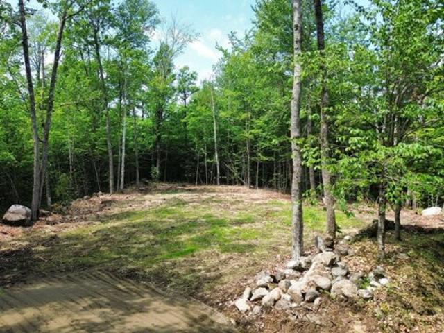 Homestead Hill Rd, Mercer, Plot For Sale