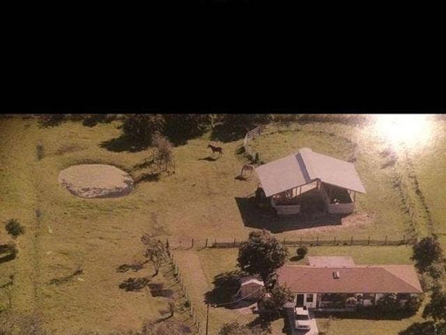 Homestead in Palmetto