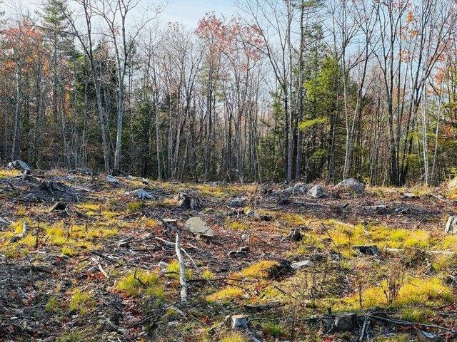 Homestead Ln Lot,barrington, Plot For Sale