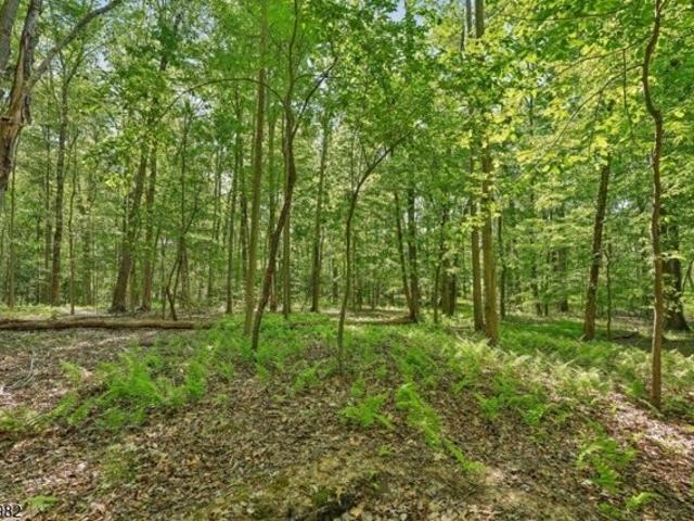 Homestead Rd, Long Hill Township, Farm House For