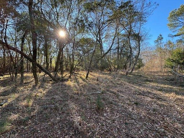 Homewood Ave, Troy, AL 36081