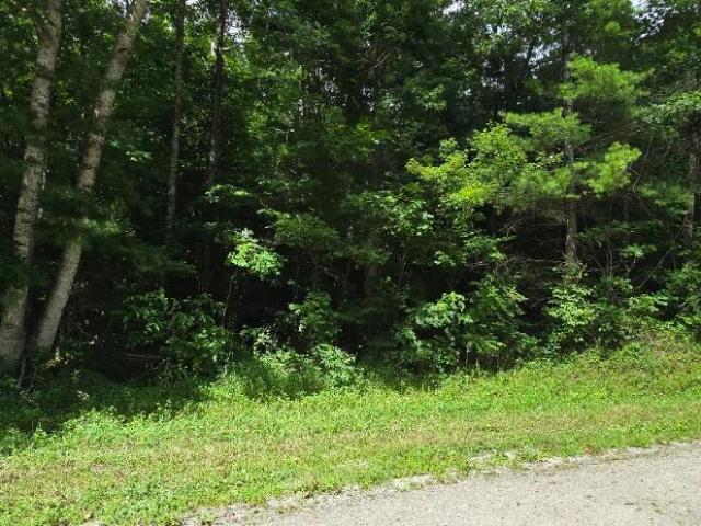 Honey Creek Loop Rd, Robbins, TN 37852