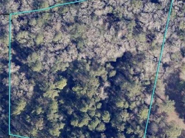 Honey Dew Ln, Brooklet, GA 30415