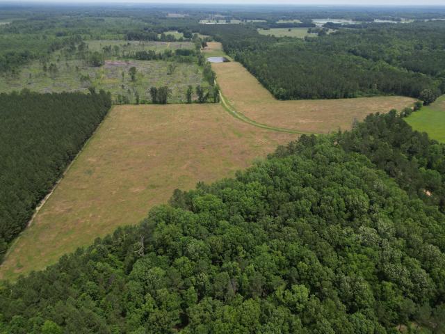 Honey Lake Rd, Macon, MS 39341