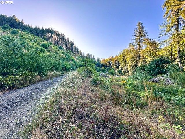 Honeygrove Rd Unit TL200, Alsea, OR 97324