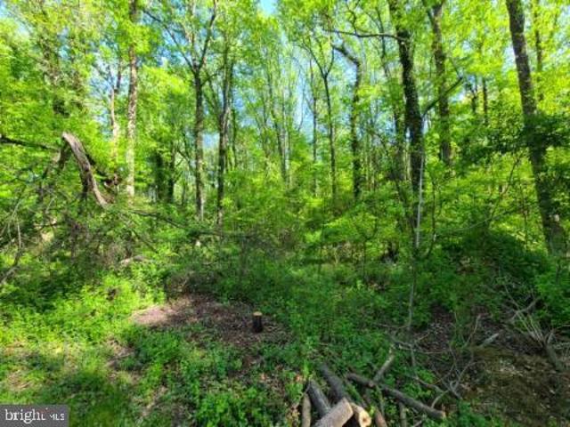 Honeysuckle Trail, Lorton, VA 22079 | Compass
