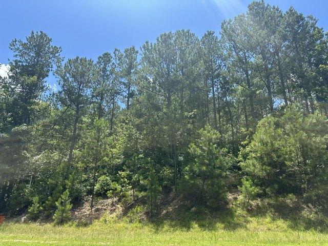 Honeysuckle Trl Lot 27, Lincolnton, GA 30817
