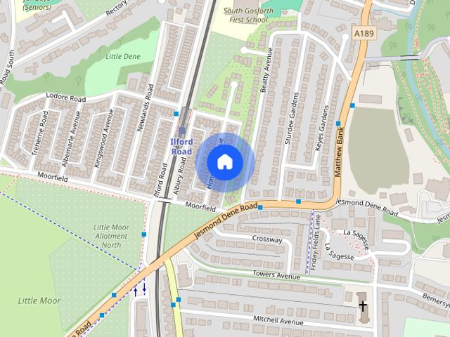 Honister Avenue, Newcastle Upon Tyne, Tyne and Wear, NE2 3PA