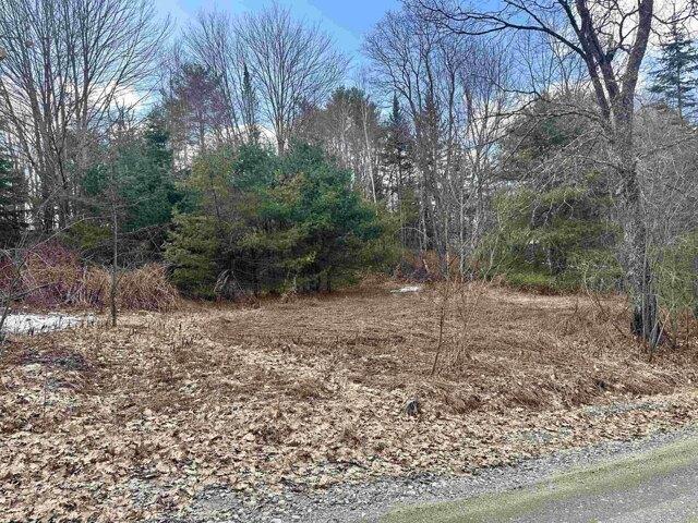 Hodge Hill Rd Lot,lisbon, Plot For Sale
