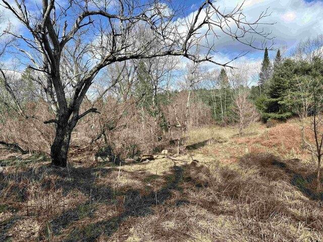 Hodge Hill Rd Lot,lisbon, Plot For Sale