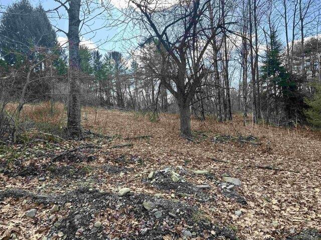 Hodge Hill Rd Lot,lisbon, Plot For Sale